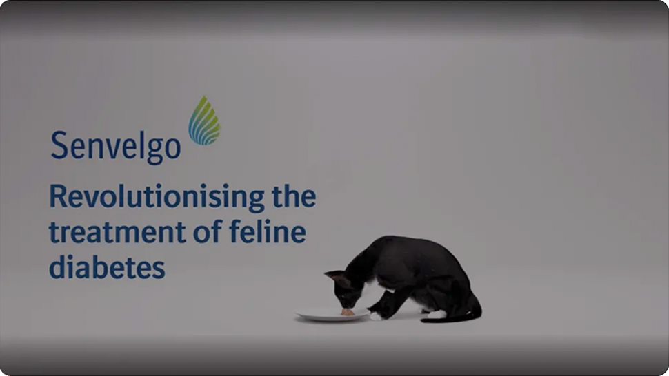 How Senvelgo® works | SENVELGO GB VET